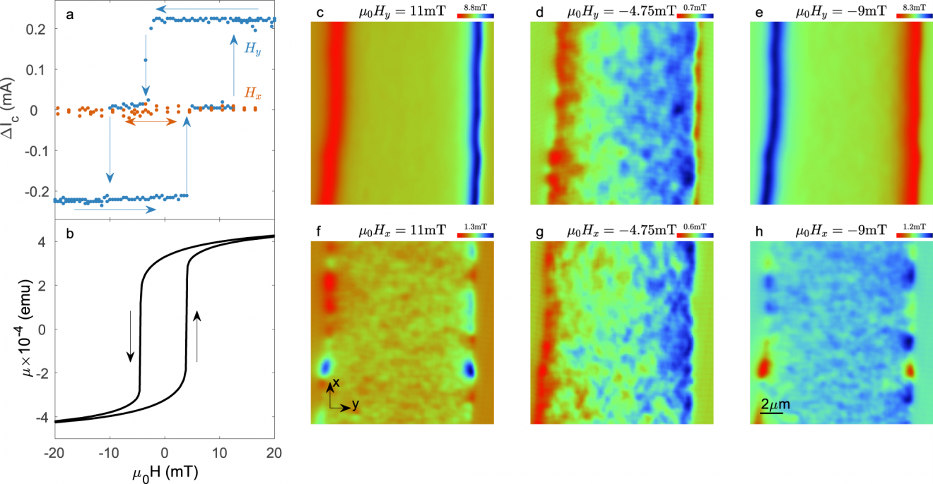 Direct observation of a superconducting vortex diode – SuperQumap